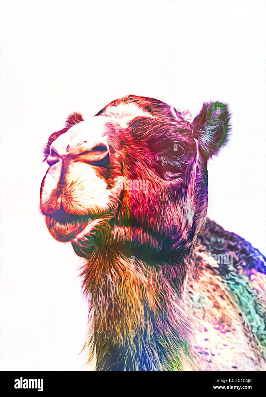 Pop Art Andy Warhol Animals