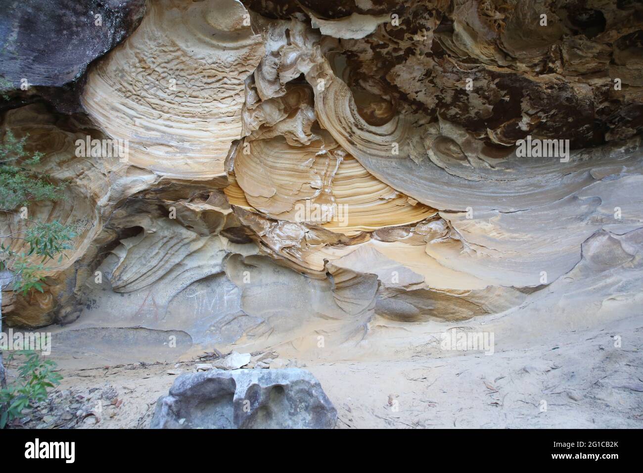 Berowra park hi-res stock photography and images - Alamy