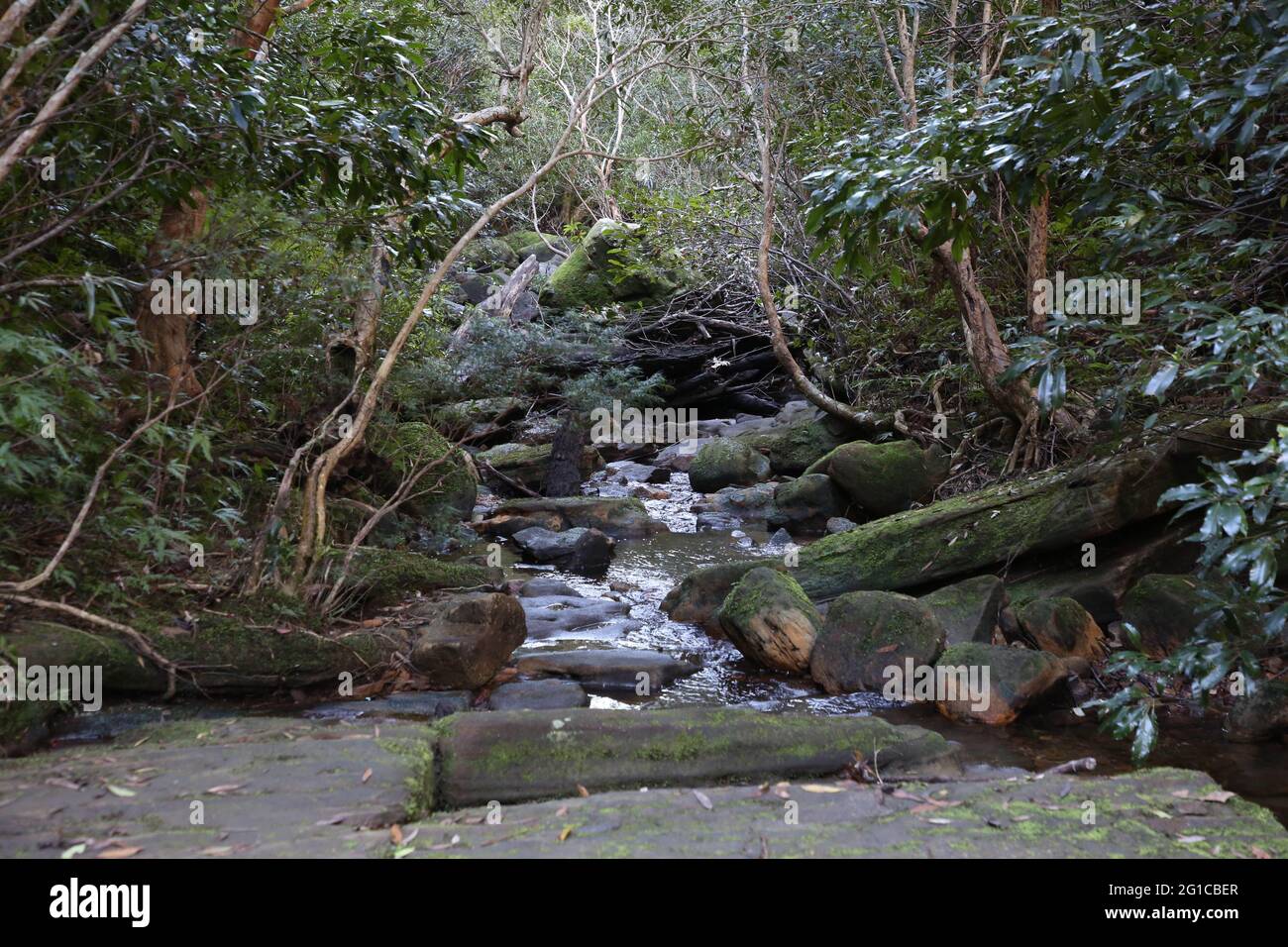 Berowra australia hi-res stock photography and images - Alamy