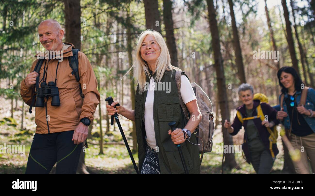 Group sport forest hi-res stock photography and images - Alamy
