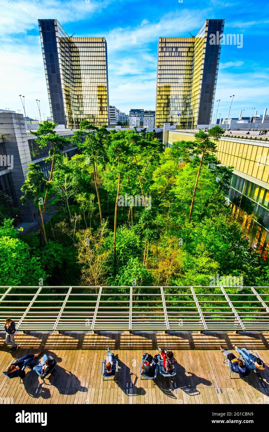 France national library interior hi-res stock photography and images ...