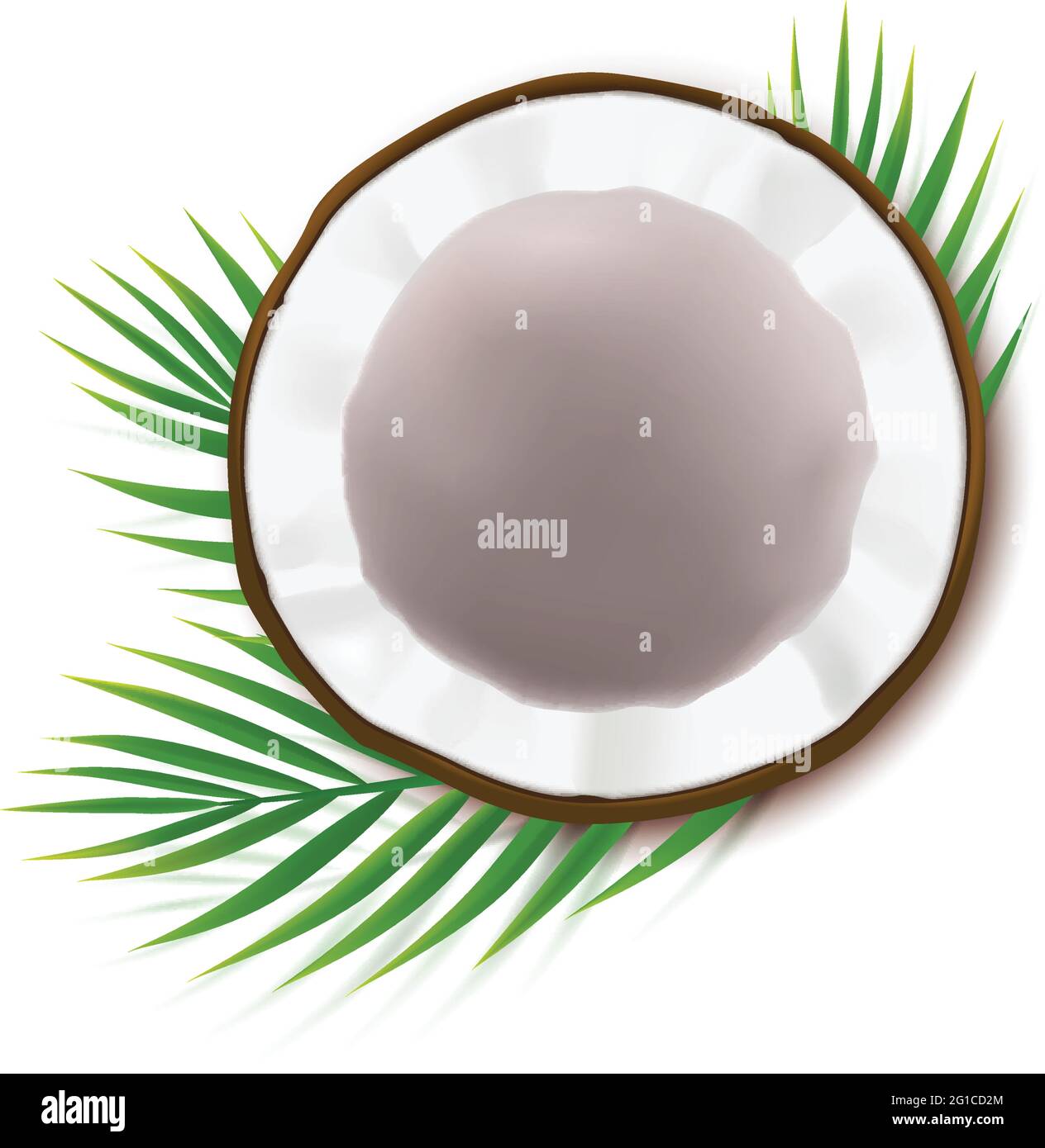 Palm fruit on tree Stock Vector Images - Alamy