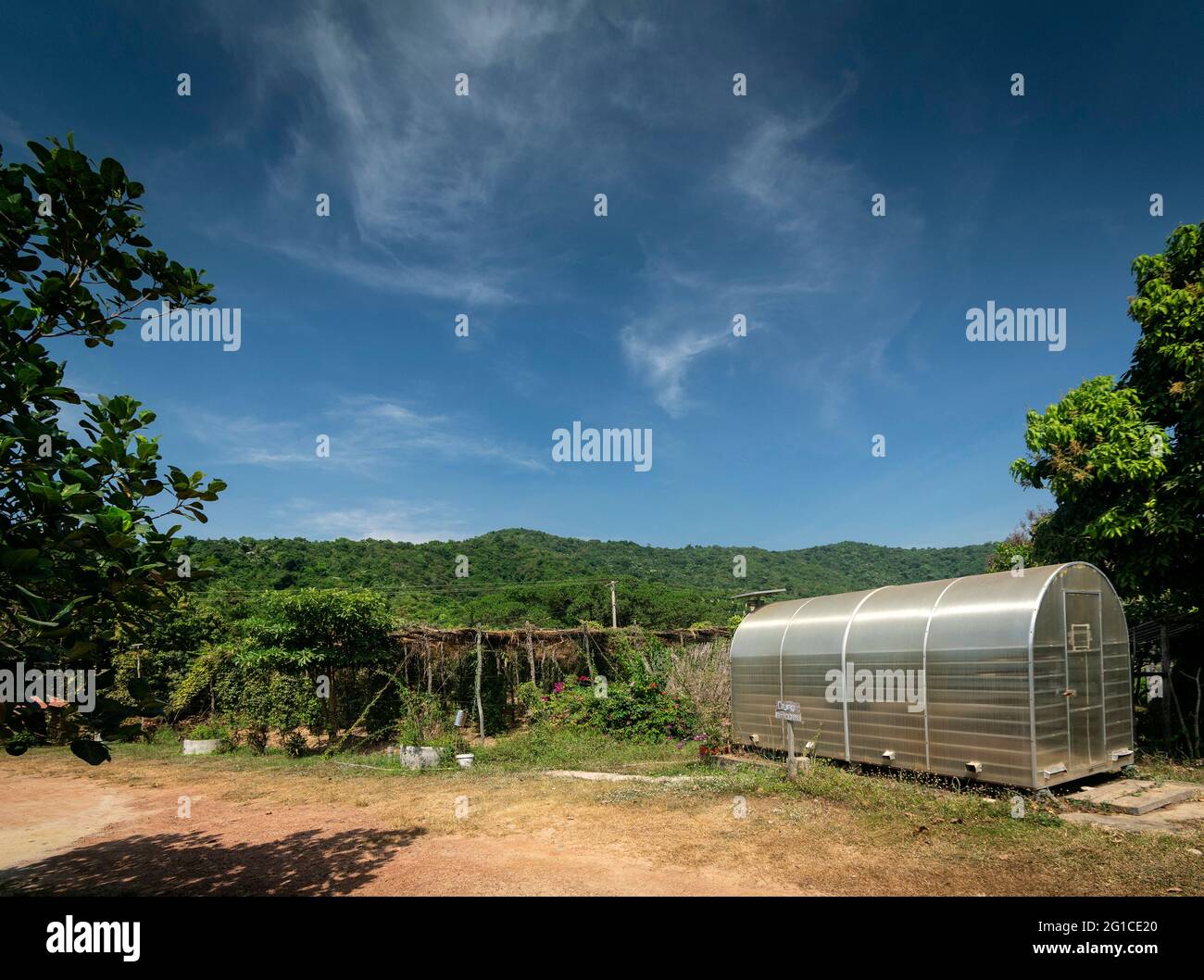modern spice drying greenhouse room in Kampot pepper farm in Cambodia ...