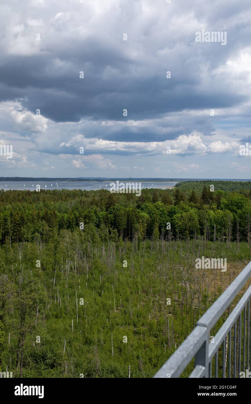 View on the Great Masurian Lakes from the observation tower in Mamerki ...