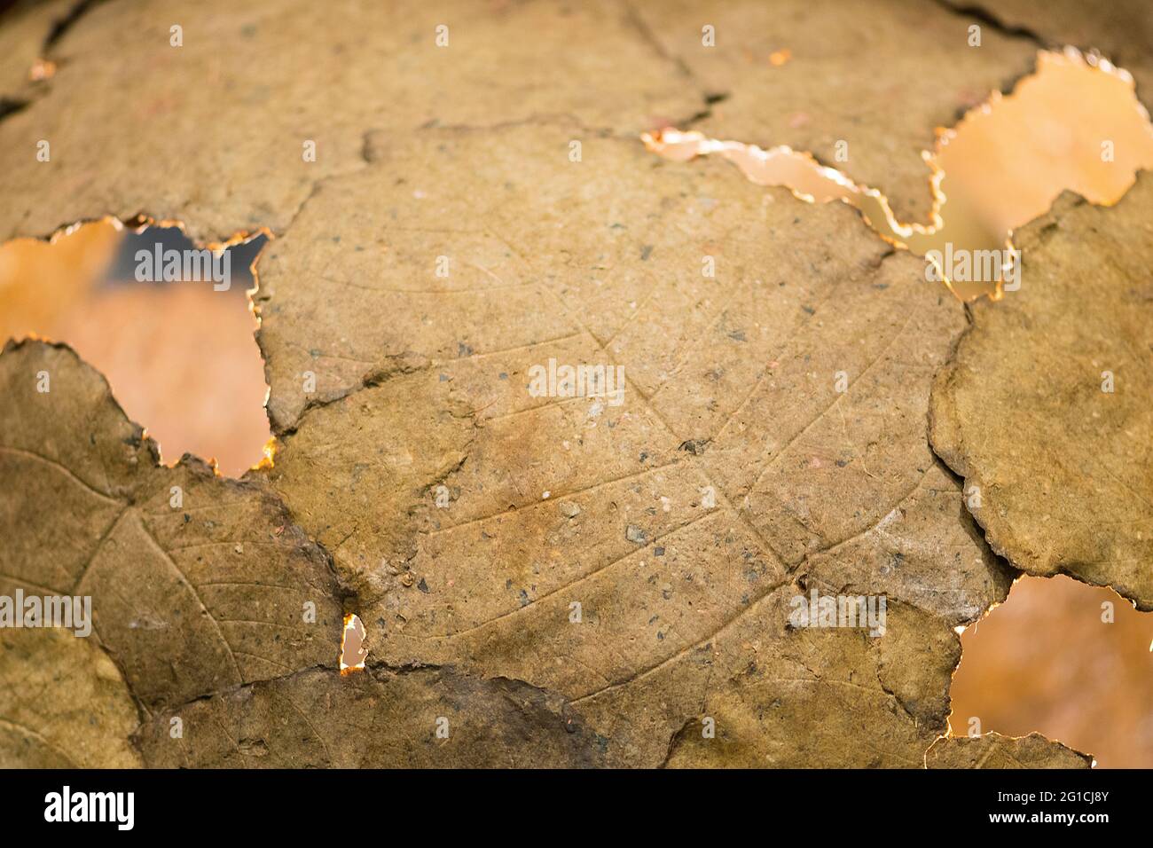 Abstract background,clay texture, environment background Stock Photo ...