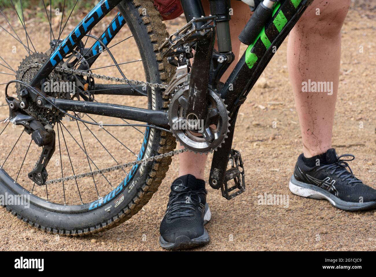 A mountain bike rider takes a brief rest from riding the forest trails ...