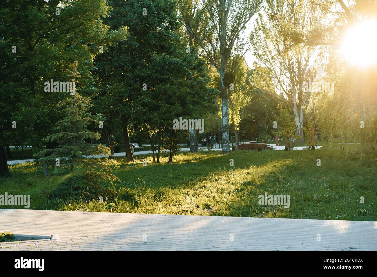 Cement walking path in a beautiful park Stock Photo - Alamy