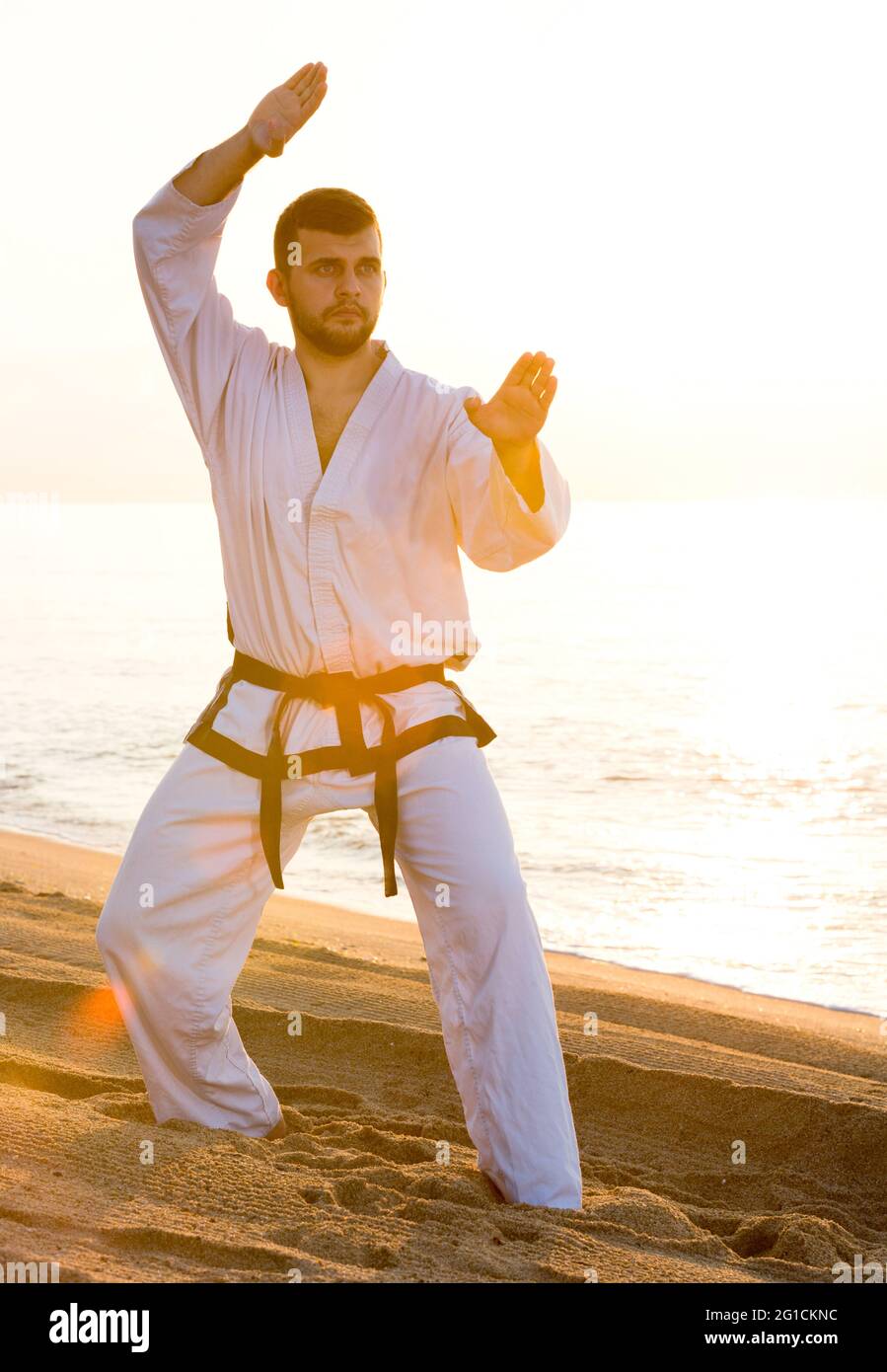 young man practicing karate positions Stock Photo - Alamy