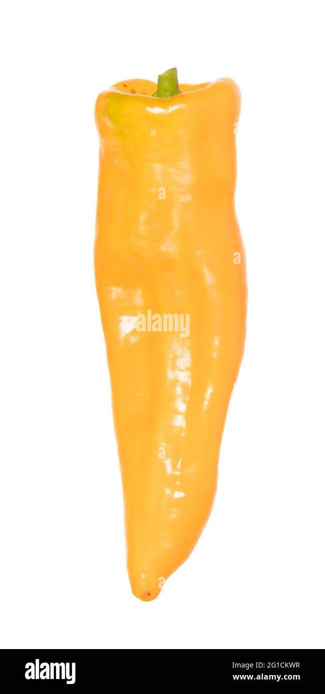 Yellow sweet pointed pepper, isolated on white background Stock Photo ...