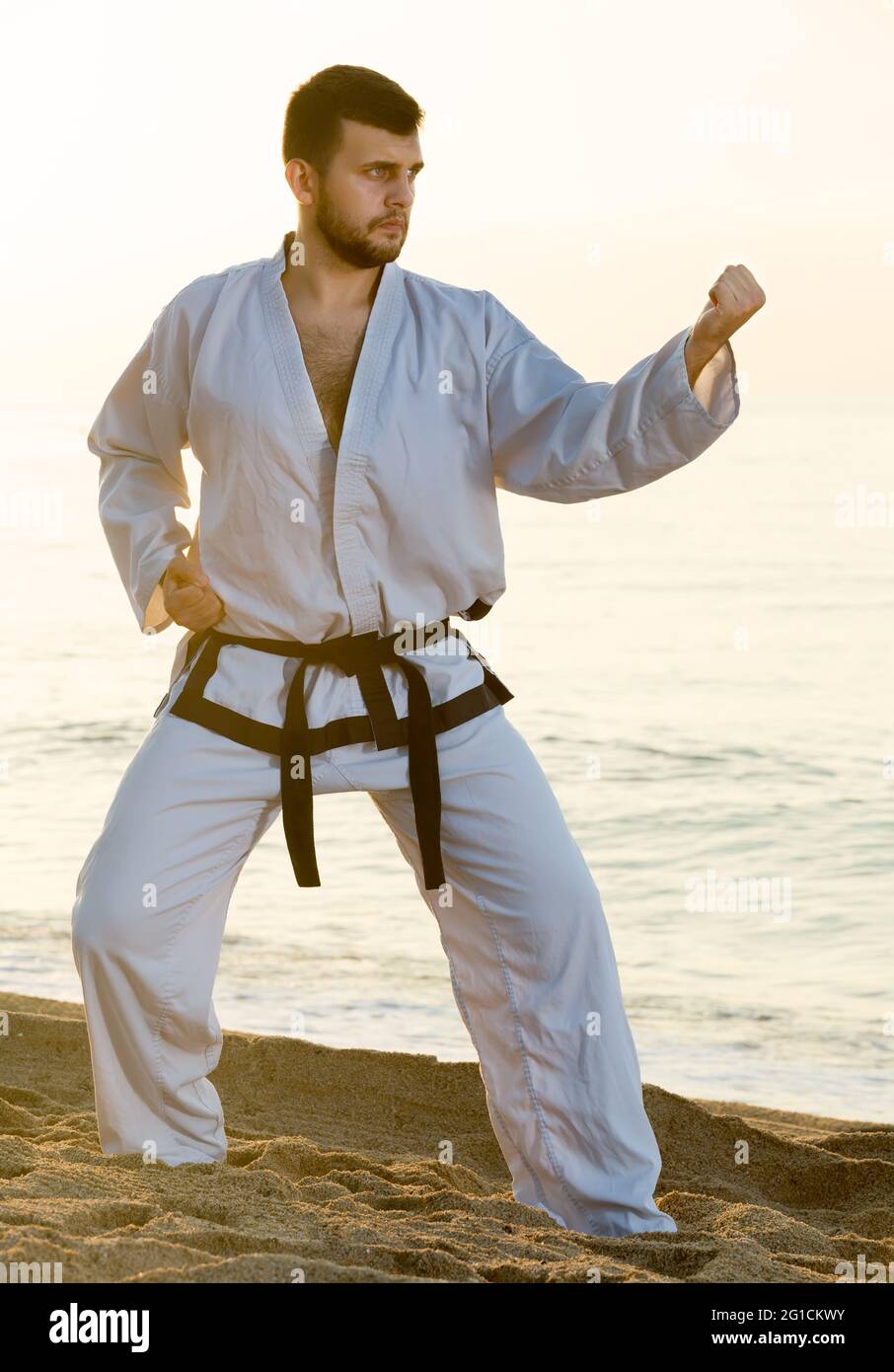male practising karate poses at seaside Stock Photo - Alamy