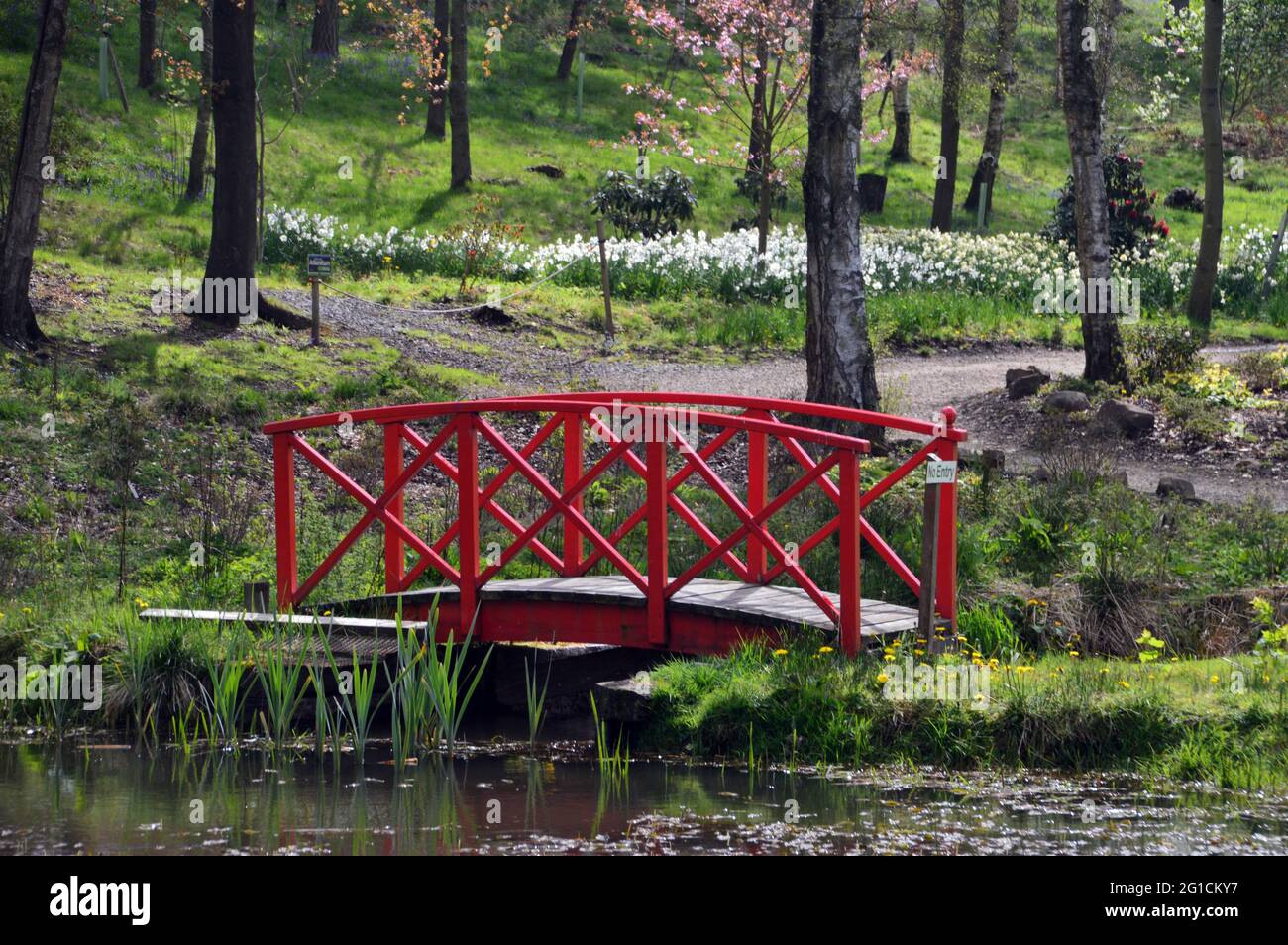 Red Wooden Bridge on the Nessie Lake at the Himalayan Garden ...