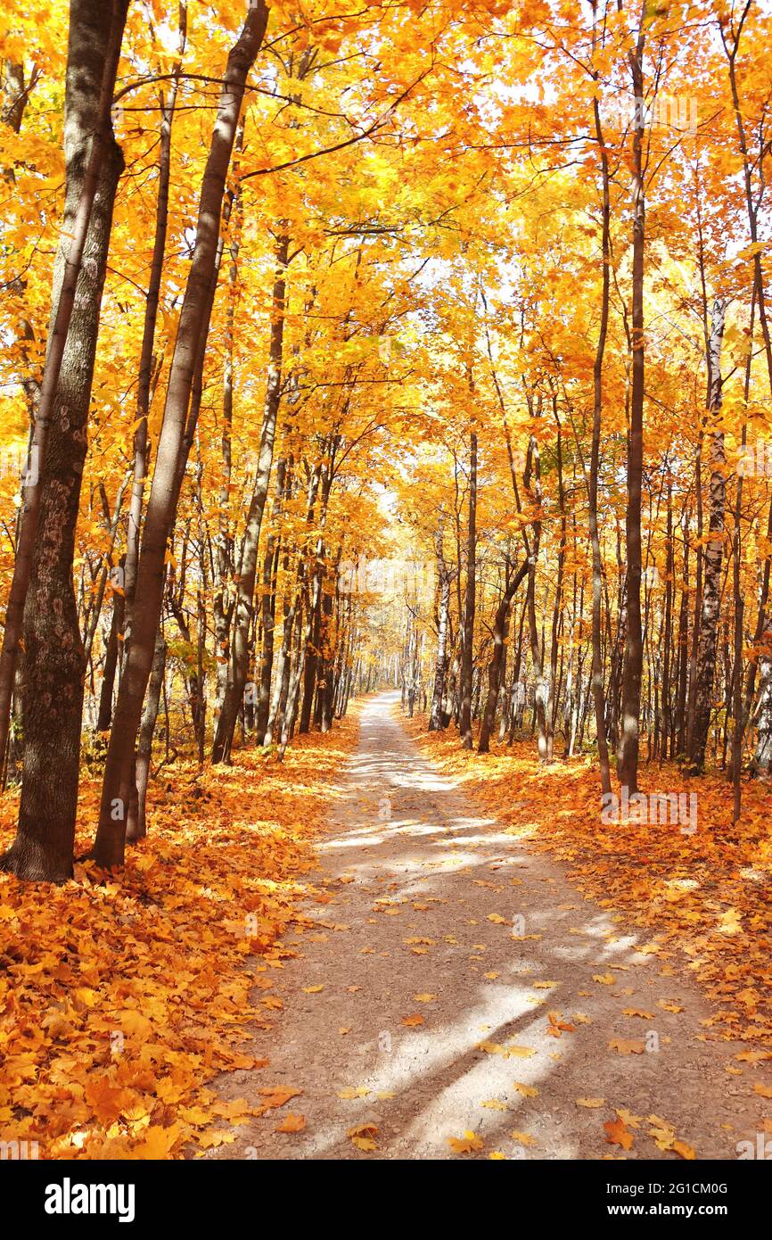 Peaceful Fall Images