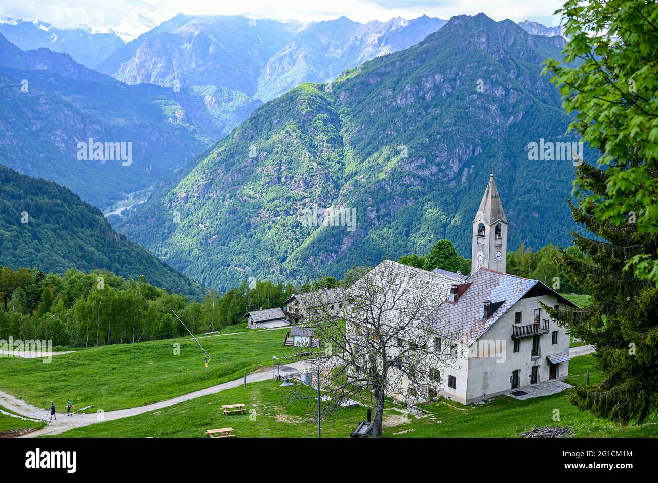 Green pastures on the Alpe di Mera plateau in Valsesia, Piedmont, Italy ...