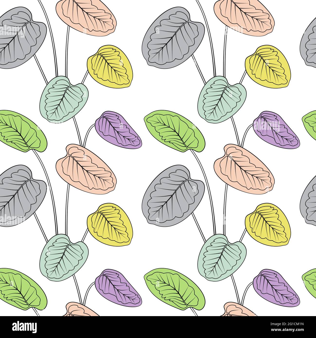 Tropical colorful calathea leaves black outline drawing seamless ...