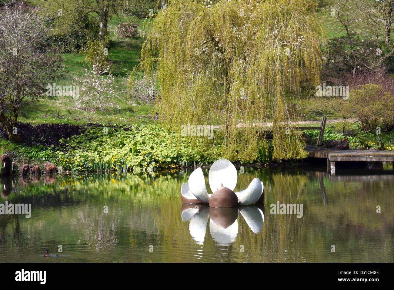 Floating Lily Sculpture Reflected in the Magnolia Lake at the Himalayan ...