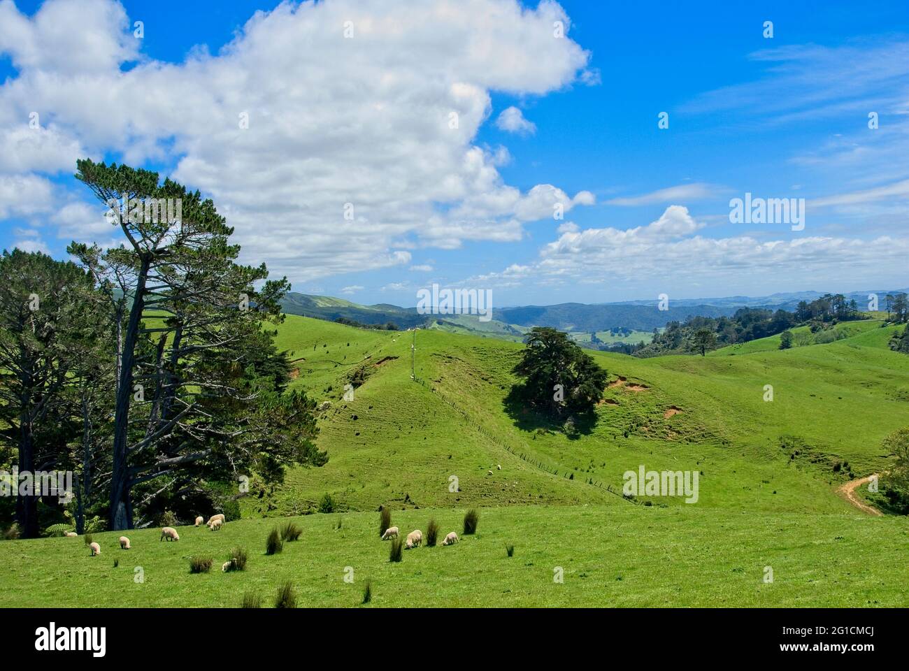 Hill farming on undulating hi-res stock photography and images - Alamy