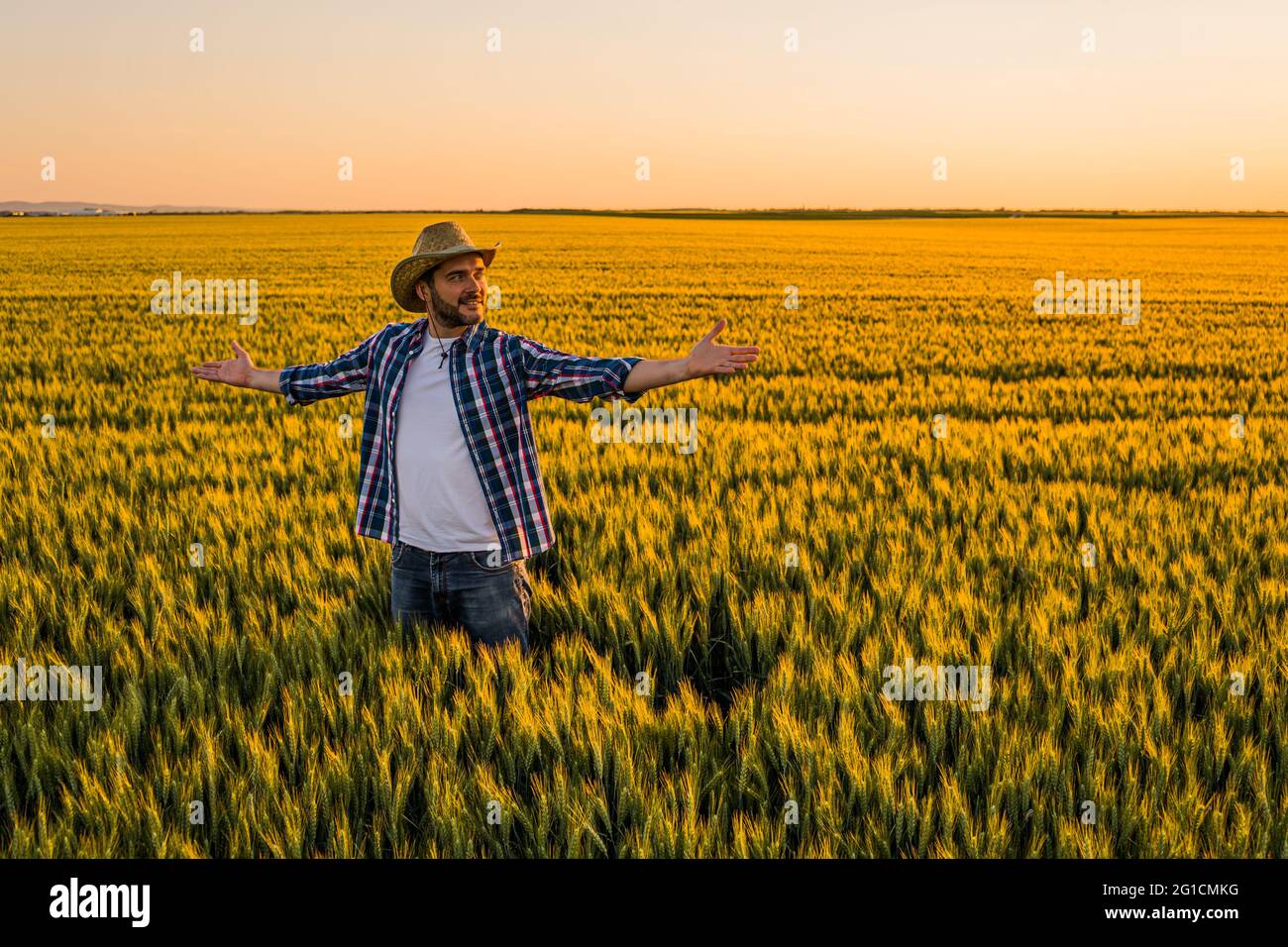 Farmer is standing in his growing wheat field. He is happy because of ...