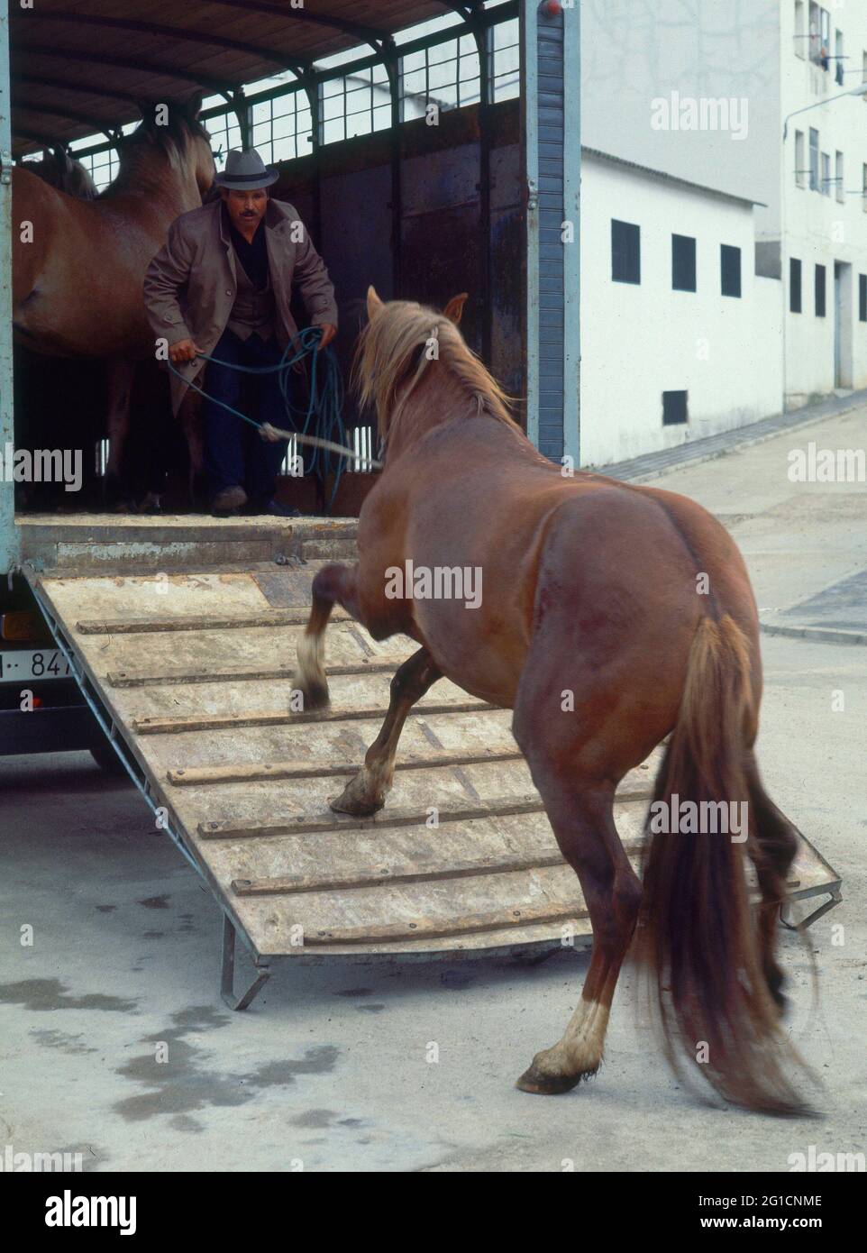 Caballos de transporte hi-res stock photography and images - Alamy