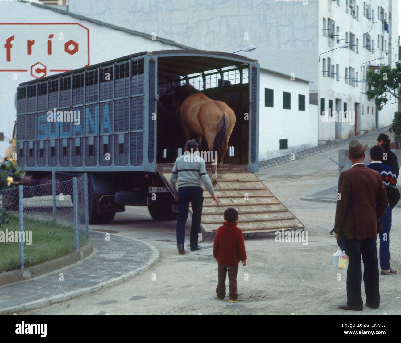 Caballos de transporte hi-res stock photography and images - Alamy