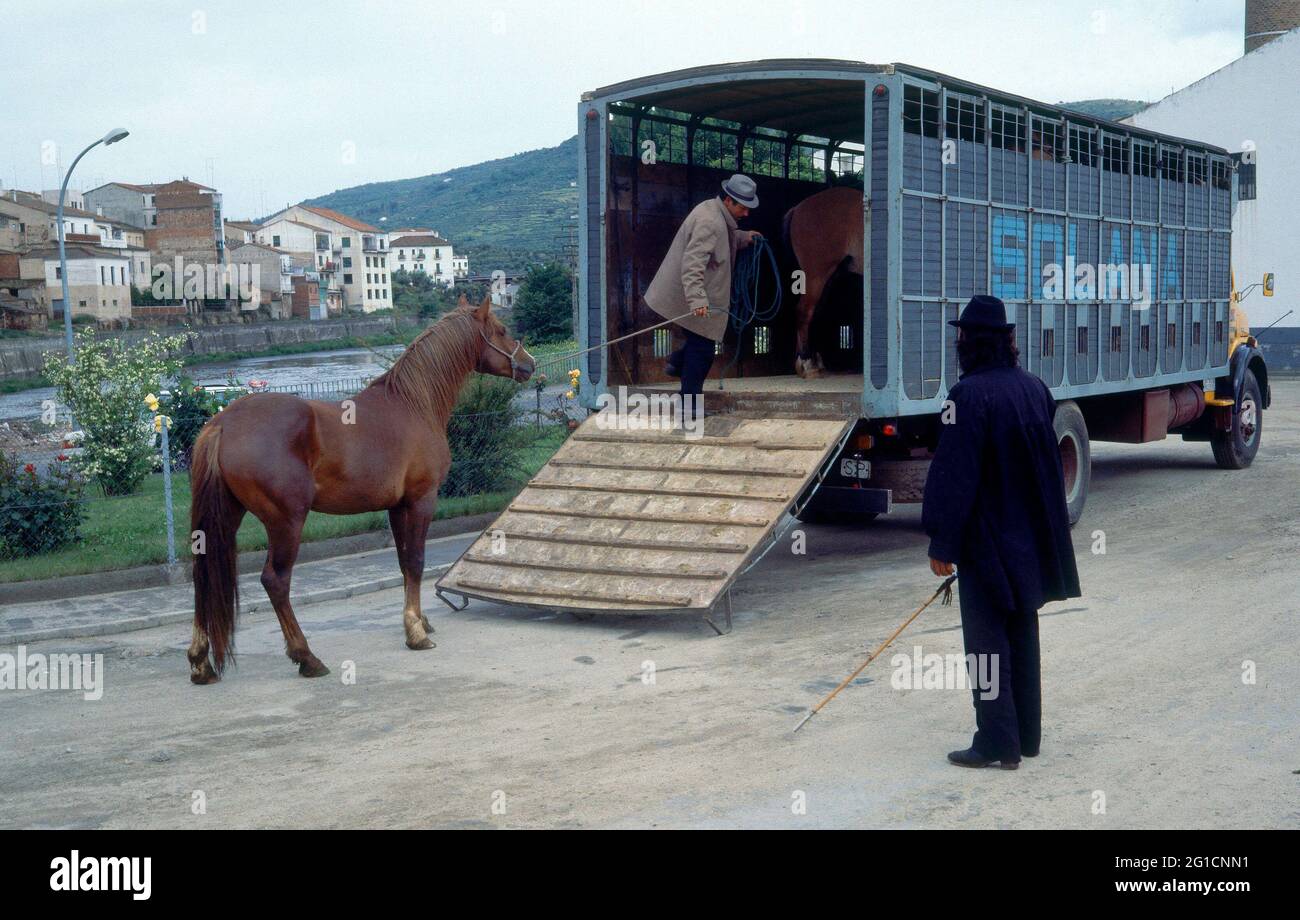 Caballos de transporte hi-res stock photography and images - Alamy