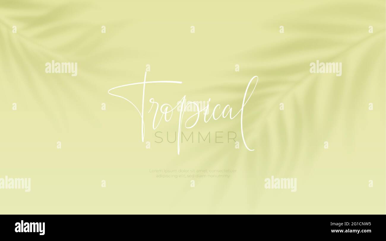 Tree shadow on grey Stock Vector Images - Alamy