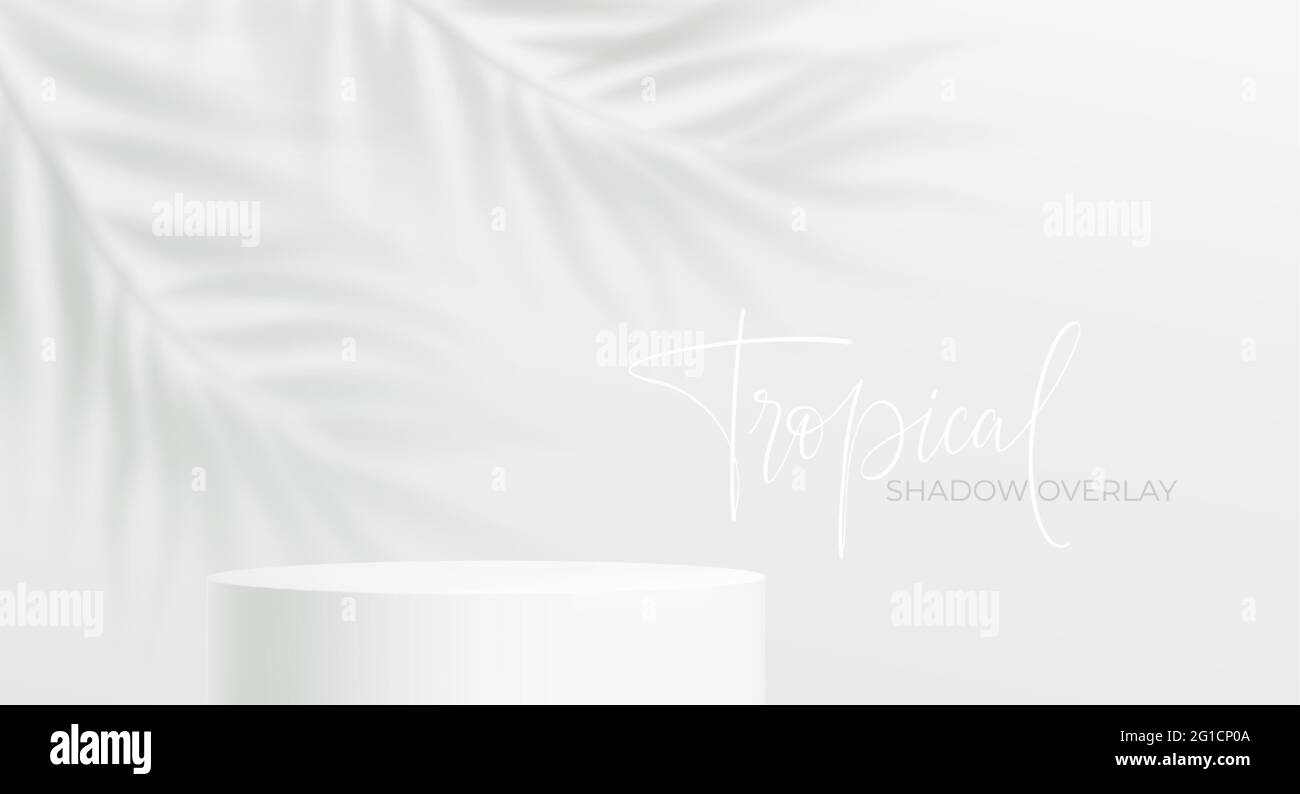 Shadow on table from Stock Vector Images - Alamy