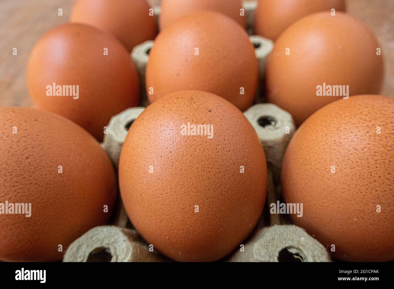 Eggs cell hi-res stock photography and images - Alamy