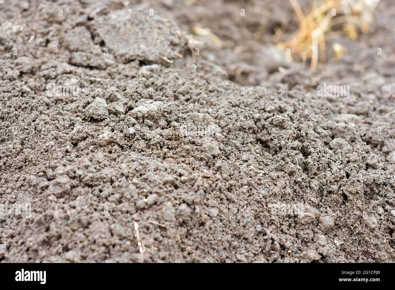 clean soil as a vegetable growing medium Stock Photo - Alamy