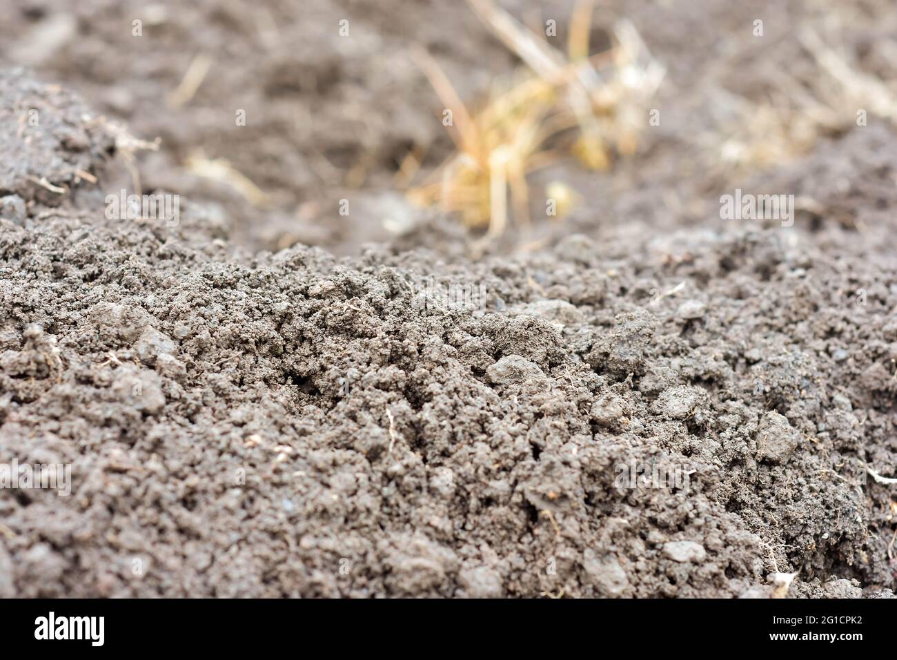 clean soil as a vegetable growing medium Stock Photo - Alamy