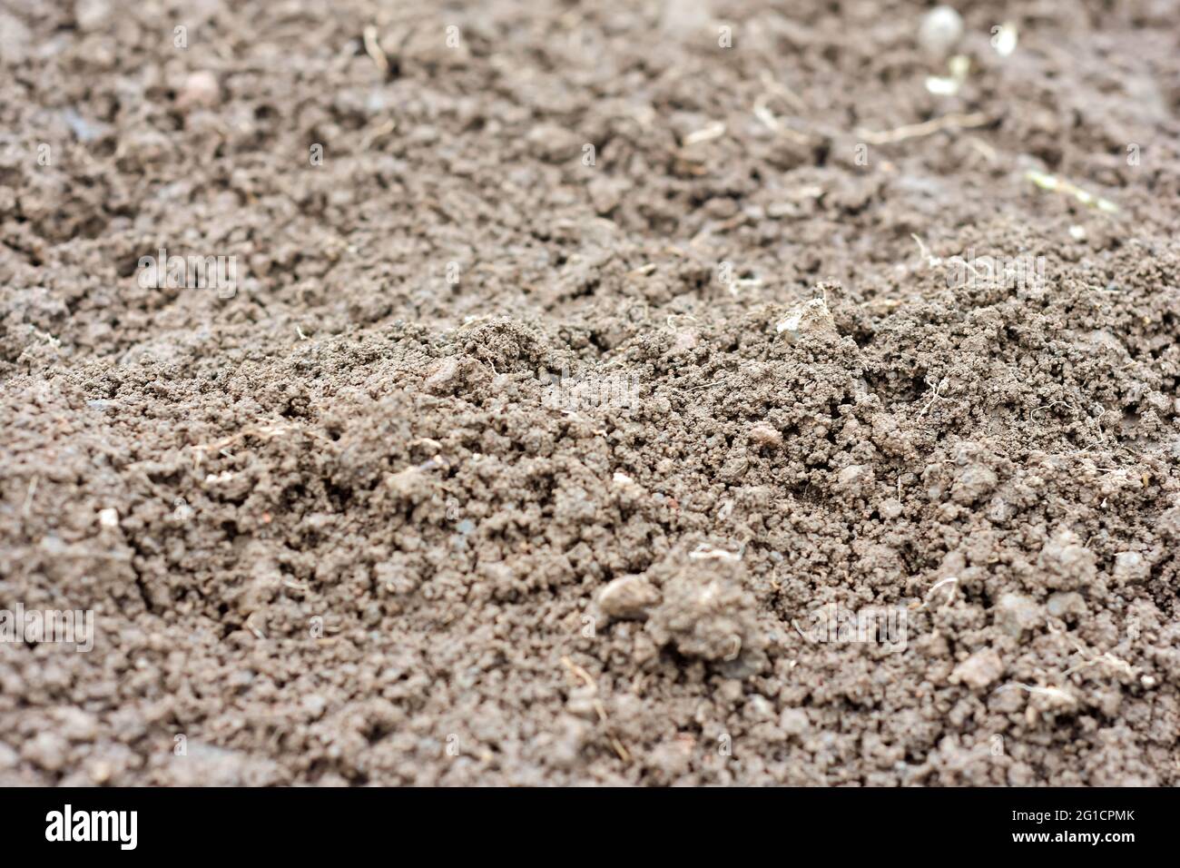 clean soil as a vegetable growing medium Stock Photo - Alamy