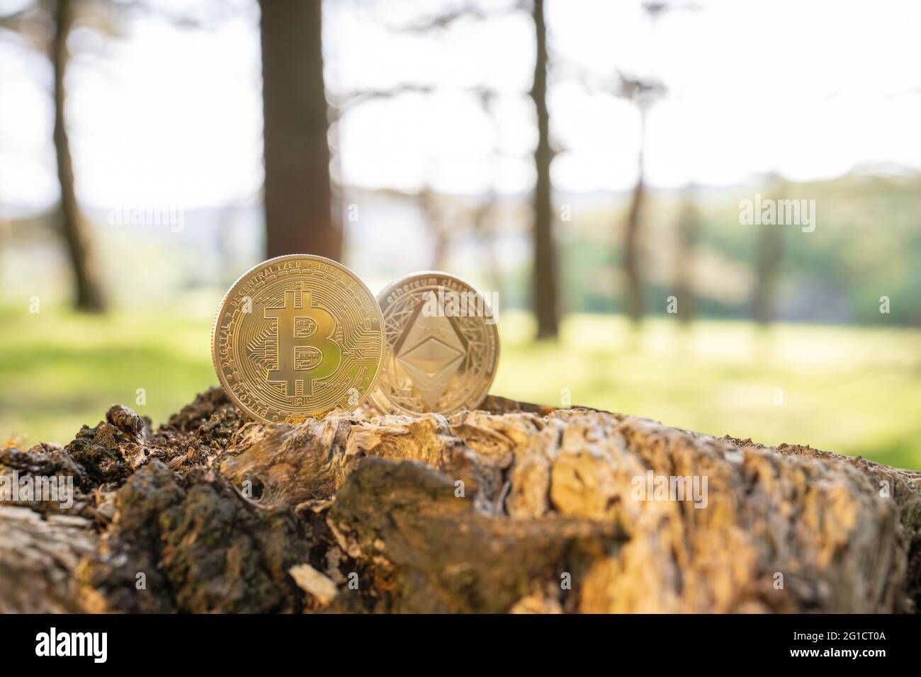 Environmental outdoor outside hi-res stock photography and images - Alamy