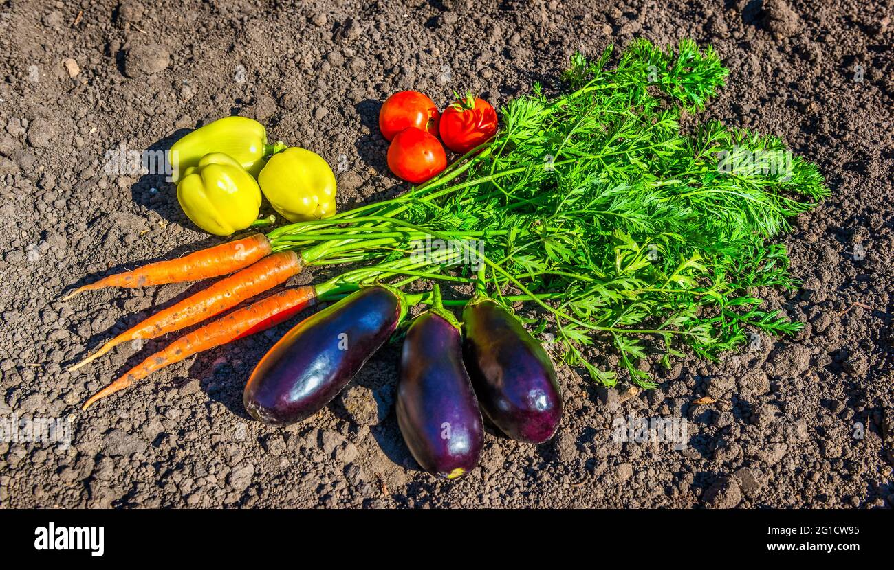 Produce on ground hi-res stock photography and images - Alamy