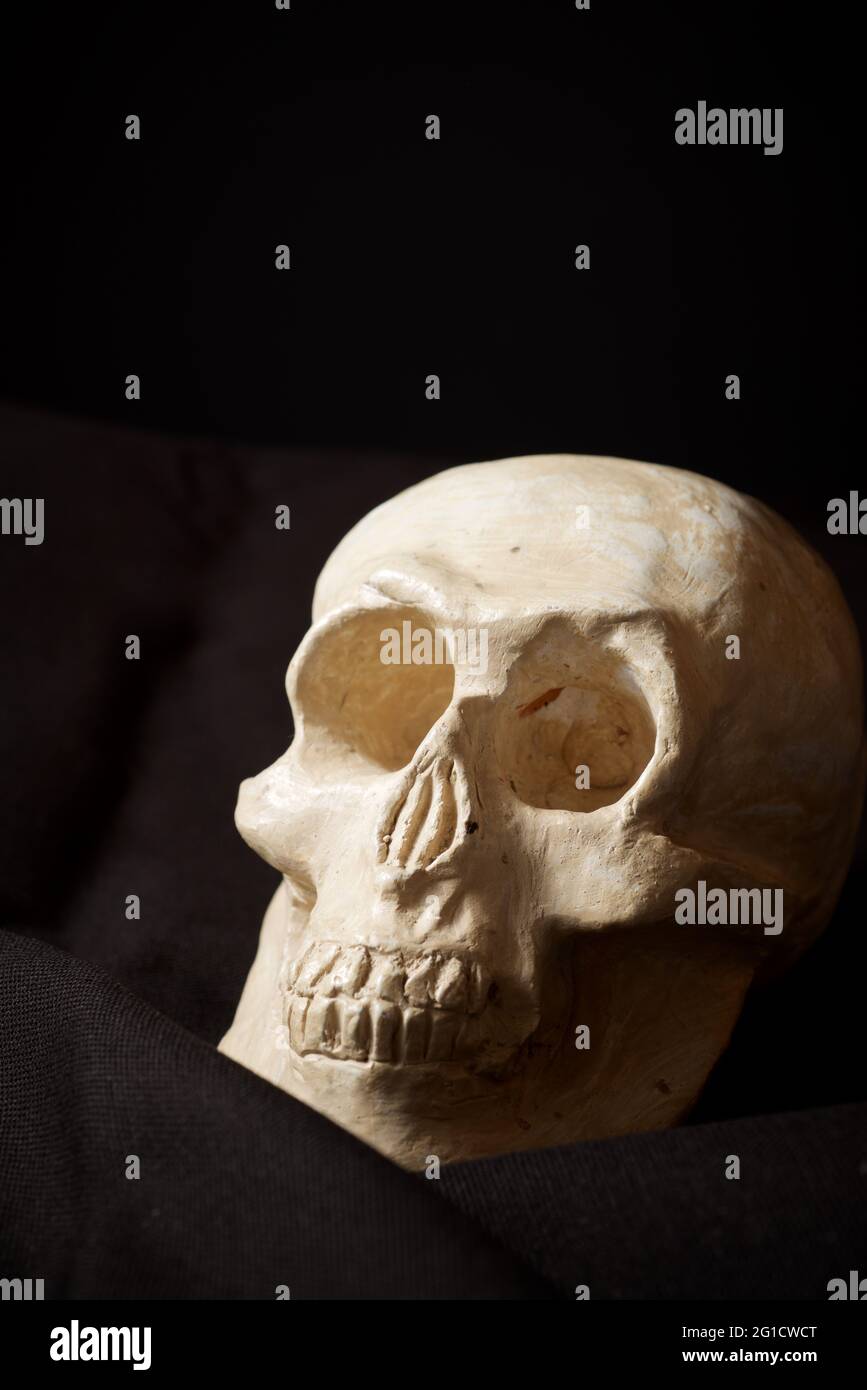 Sculpture human skeleton hi-res stock photography and images - Alamy