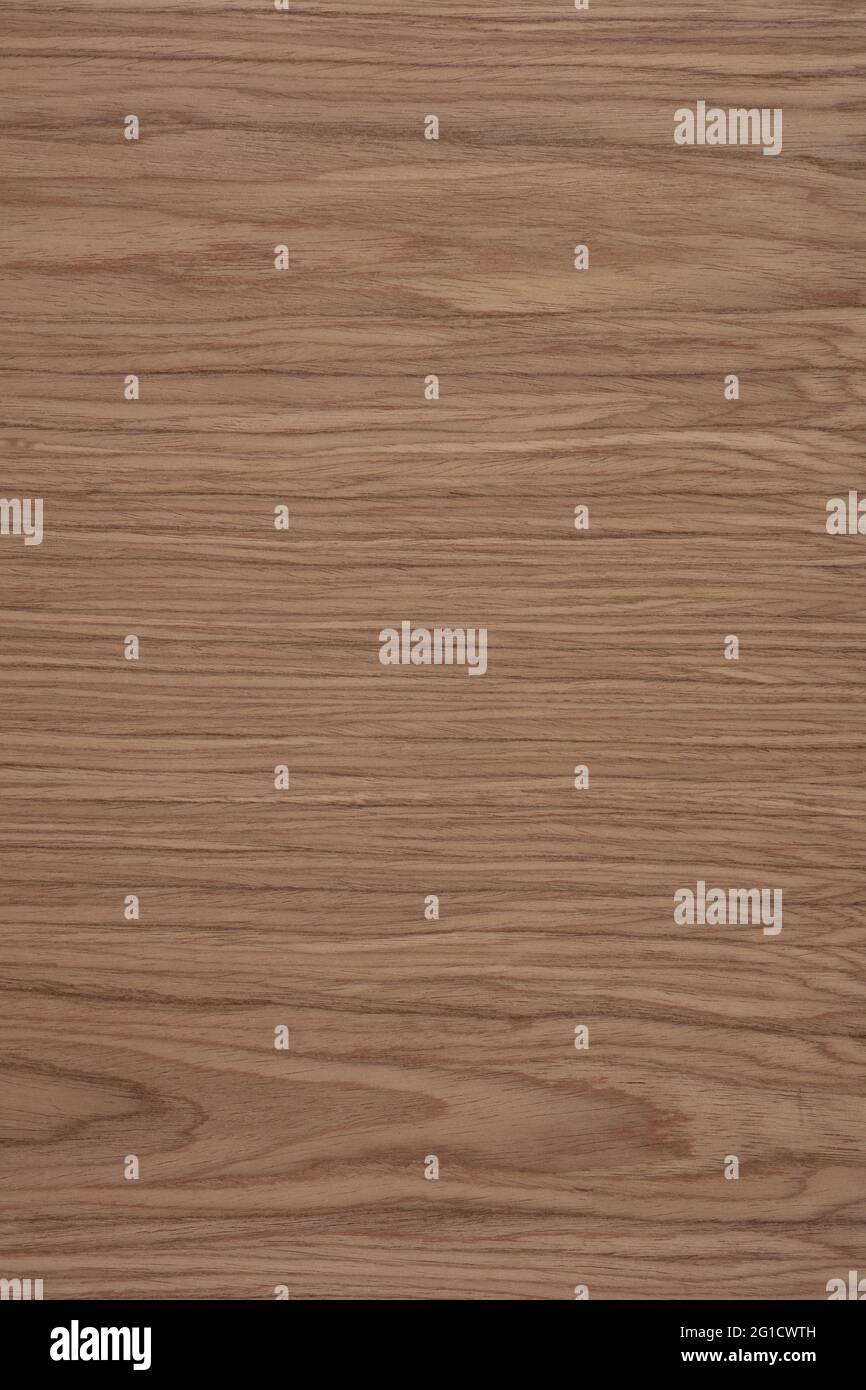 European Walnut veneer background in light brown color, texture for ...