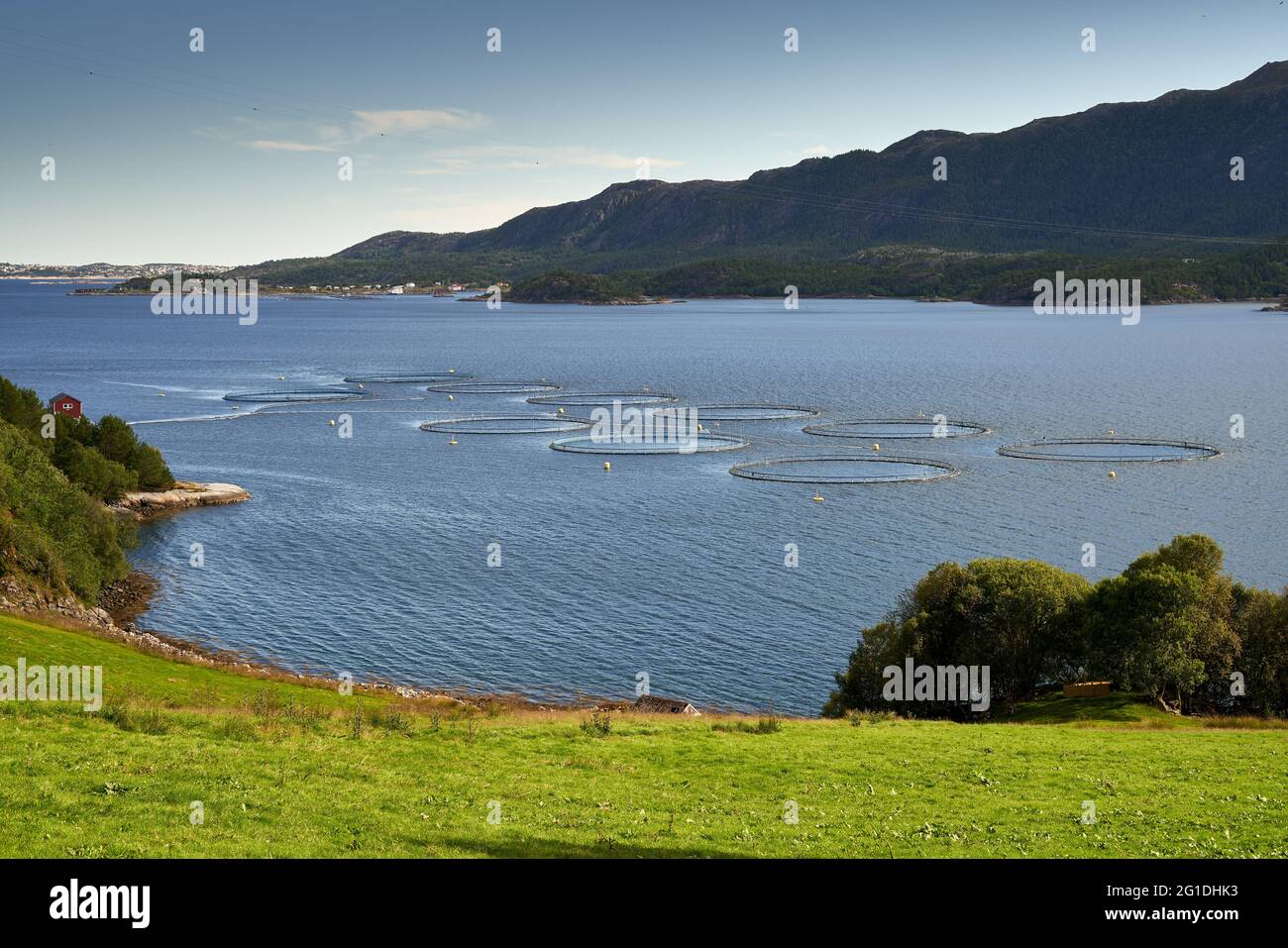 Fish farming in the Norwegian fjord, close to Kristiansund Stock Photo ...