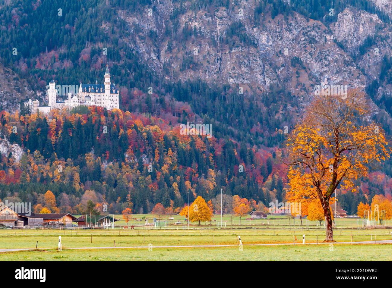 Famous Neuschwanstein castle in beautiful autumn colors,Schwangau in ...