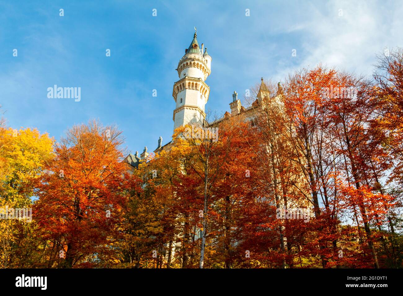 Famous Neuschwanstein castle in beautiful autumn colors in Bavaria and ...