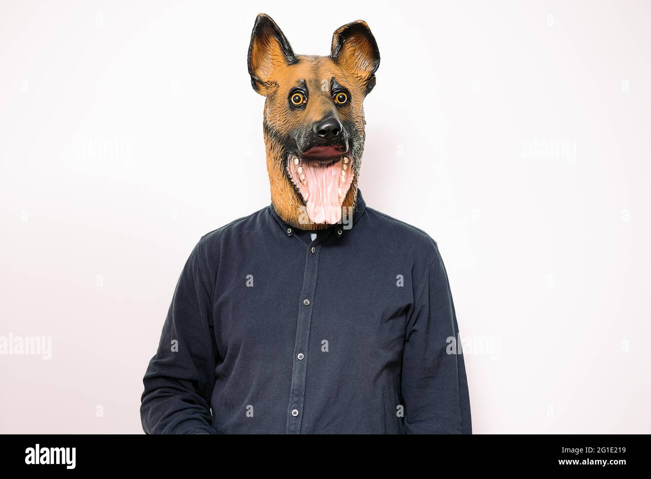 costumed man with a dog mask on a white background Stock Photo - Alamy