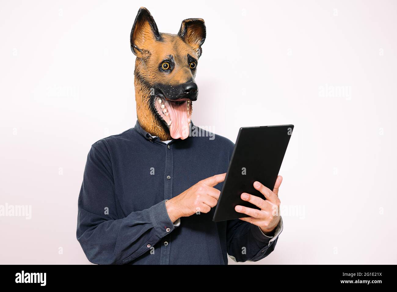 Animal Typing Computer