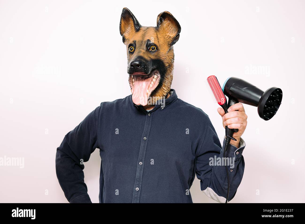 person with a dog mask holding a hairbrush and a hairdryer on white ...