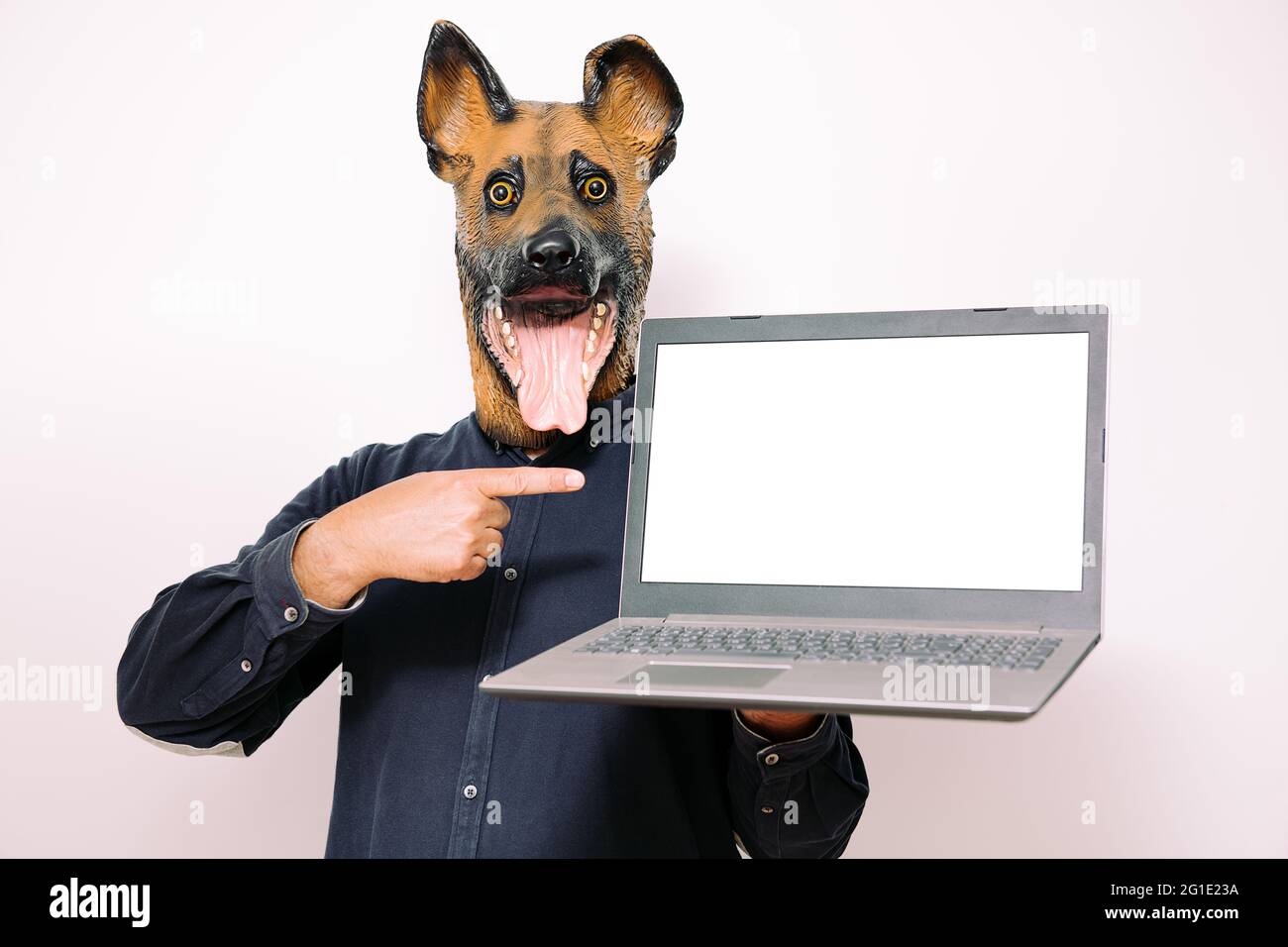 Computer animal screen hi-res stock photography and images - Alamy