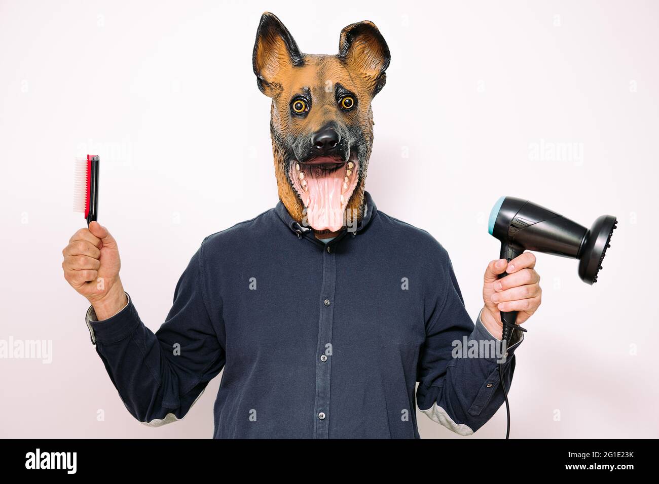 person with a dog mask holding a hairbrush and a hairdryer on white ...