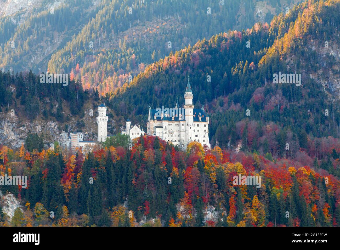 Famous Neuschwanstein castle in beautiful autumn colors in Bavaria and ...