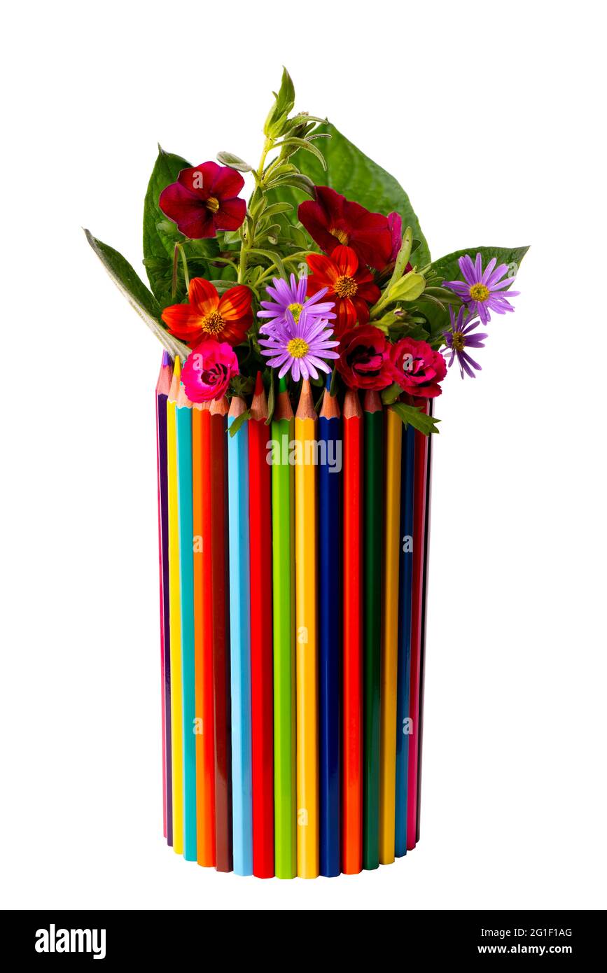 Daisy flower pencil drawing hi-res stock photography and images - Alamy