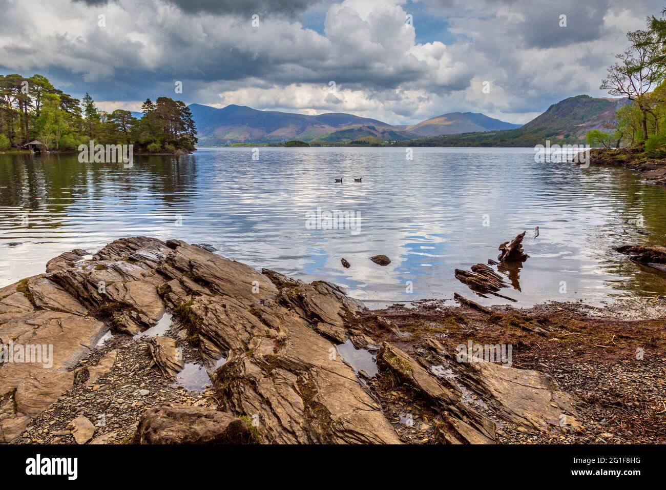 Cumberland island north hi-res stock photography and images - Alamy