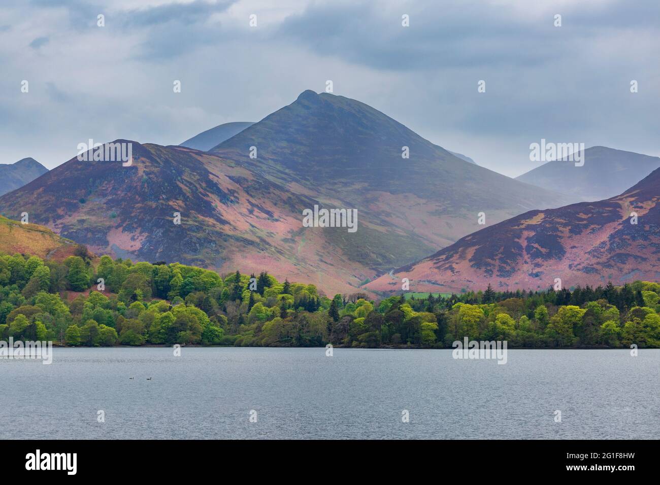 Causey pike hi-res stock photography and images - Alamy