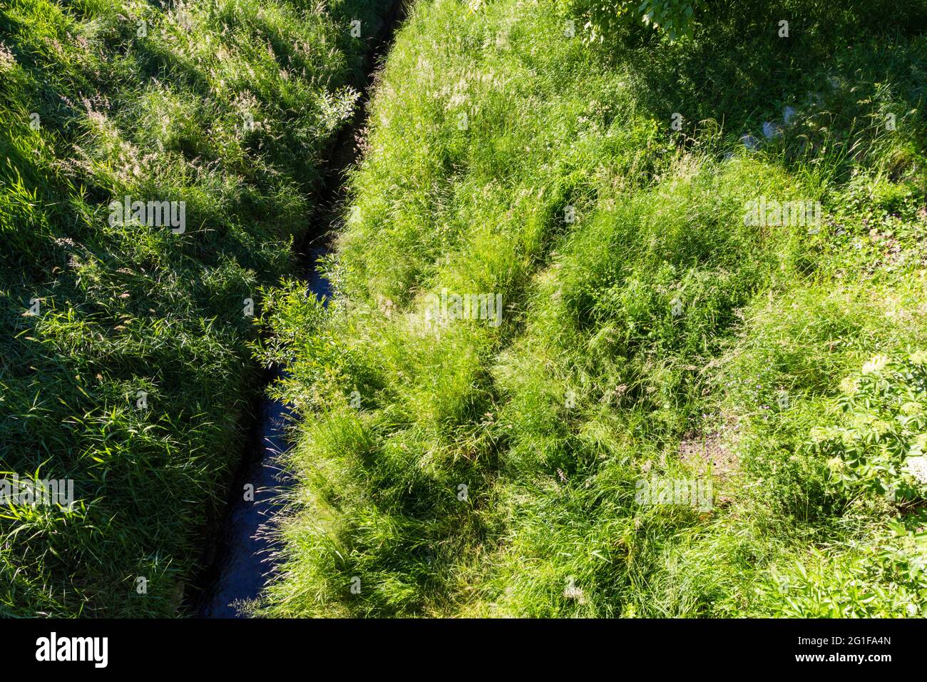 Grassland with stream hi-res stock photography and images - Alamy