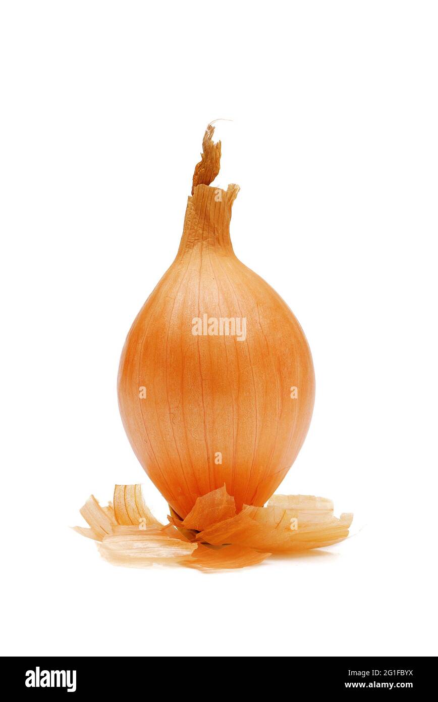 yellow oval onion bulb with peels isolated on white background Stock ...