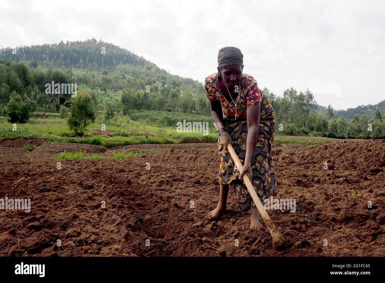Rural African woman working in her field Stock Photo - Alamy
