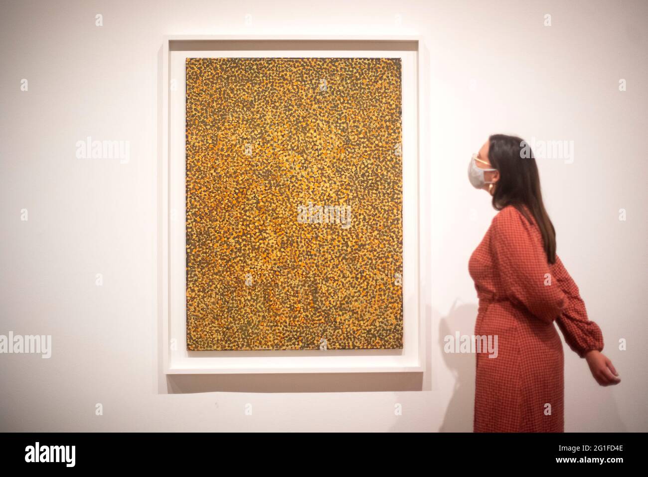 Emily Kame Kngwarreye Earths Creation